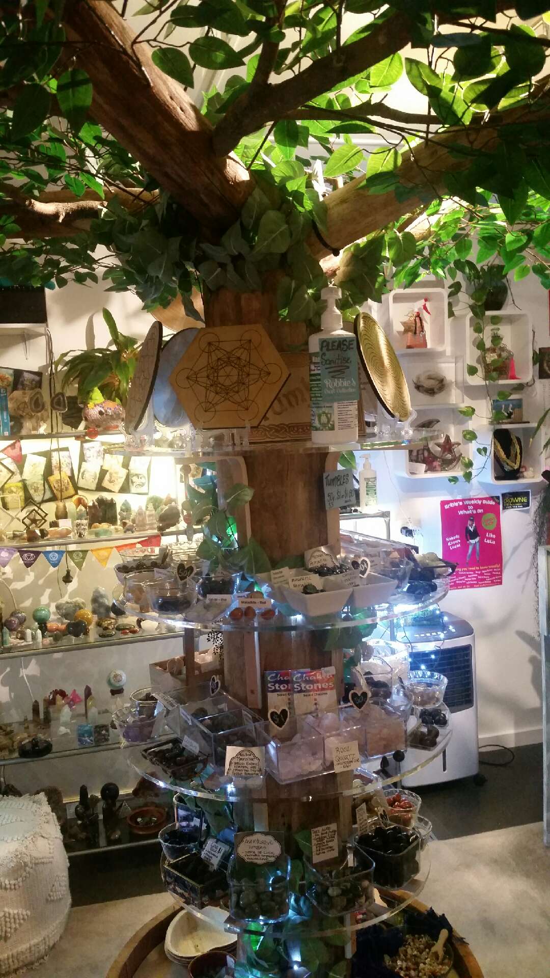 Raw balsa wood LOGS or trees or branches - Riley Balsa Wood Surfboards